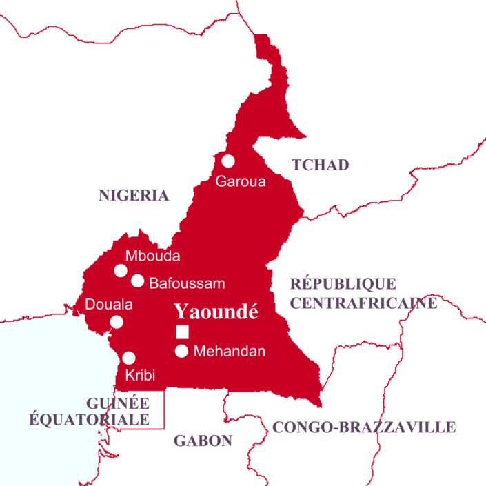 Afrique Subsaharienne : Cameroun - iecd