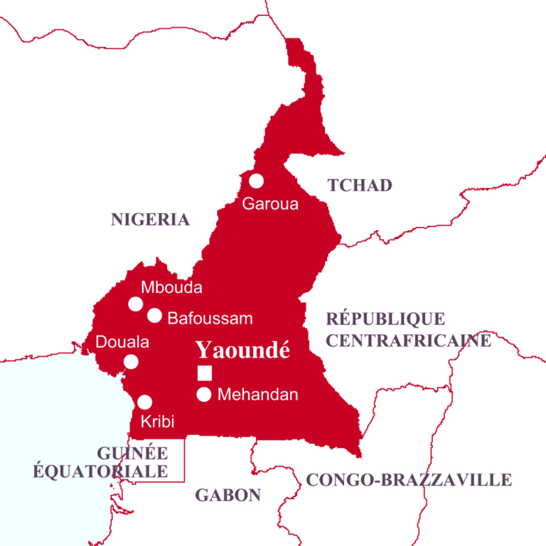 Afrique Subsaharienne : Cameroun - iecd