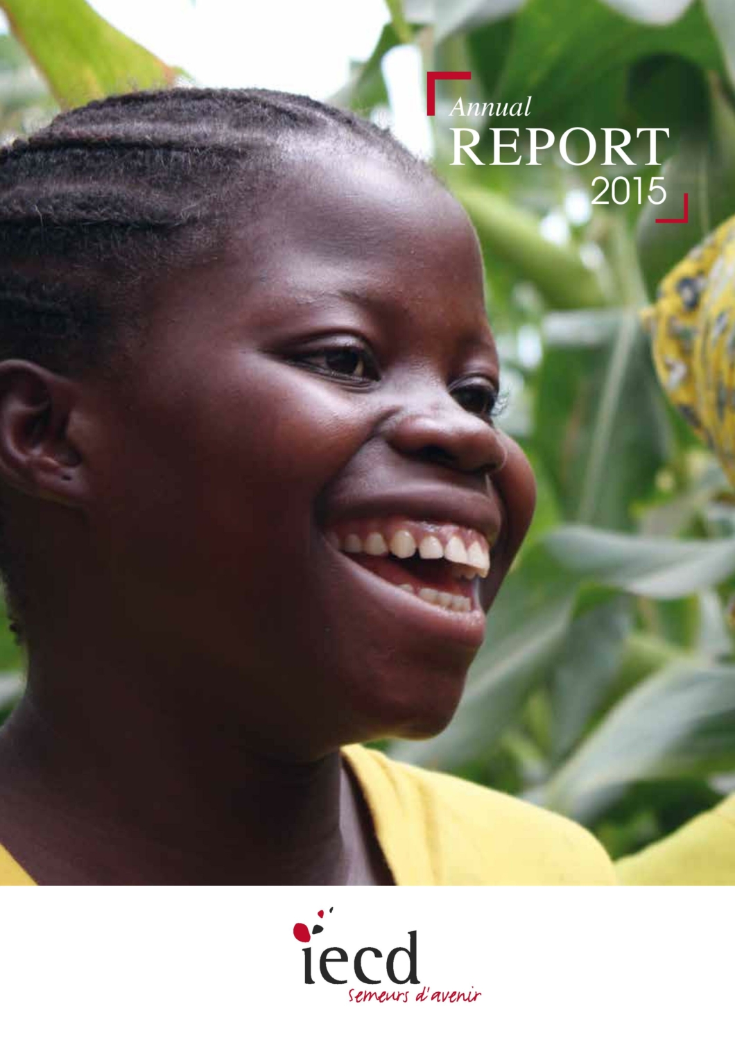 Annual reports of the IECD - iecd