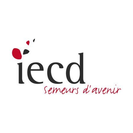 Image logo officiel - iecd