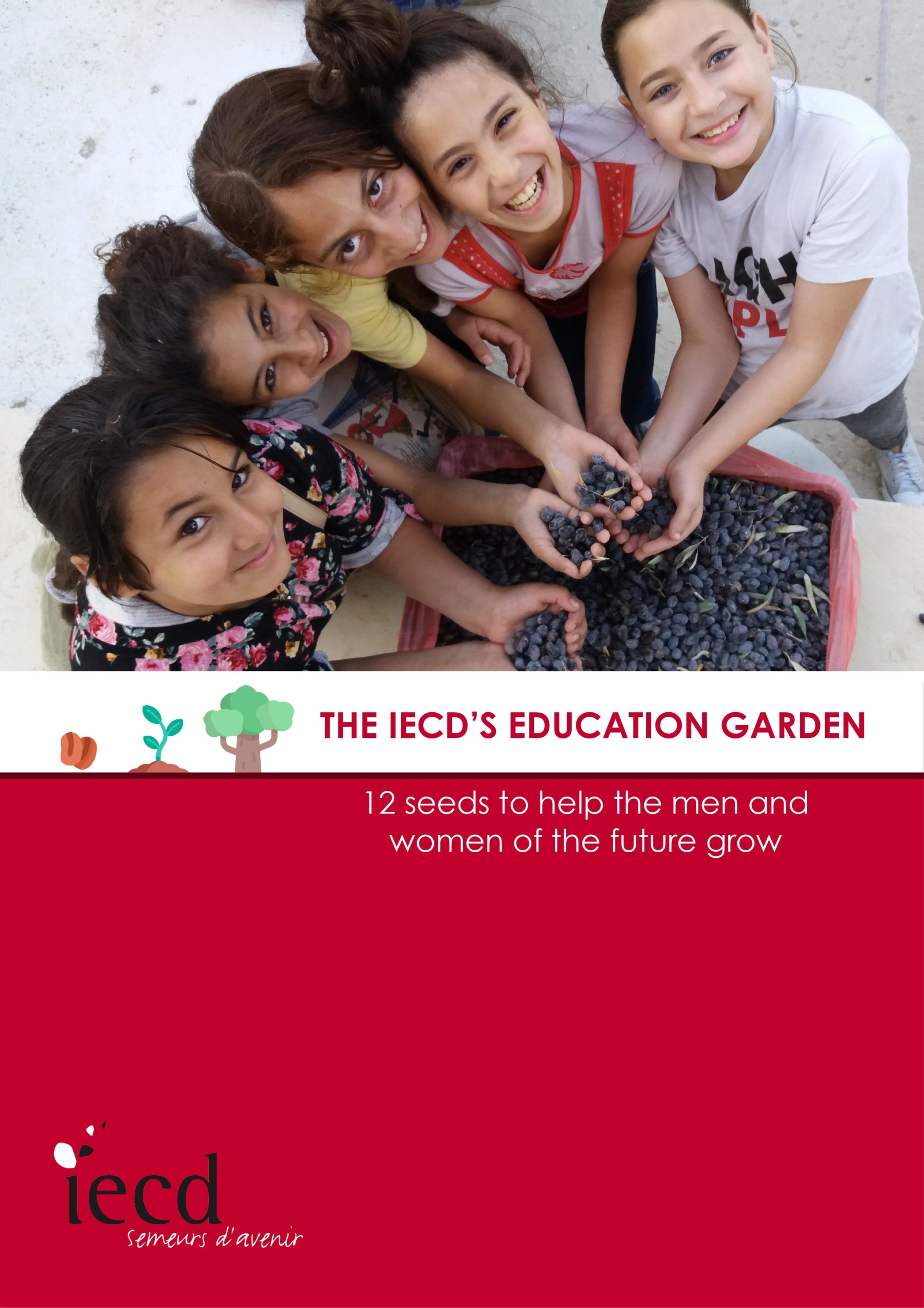 Publications (studies, handbooks, magazines) - iecd