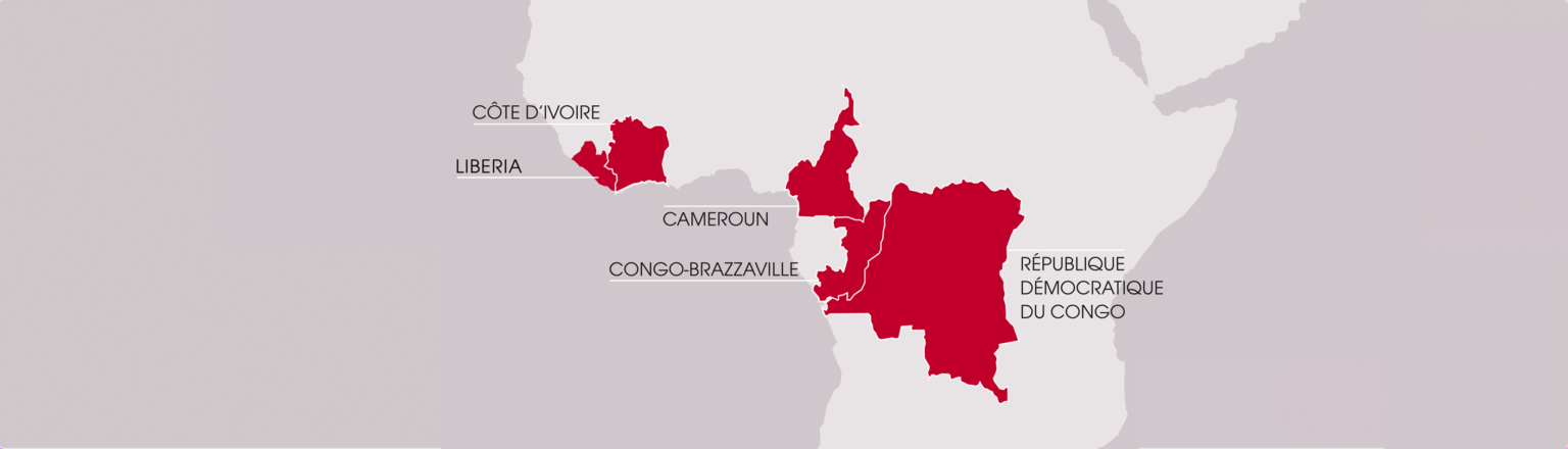Afrique subsaharienne - iecd