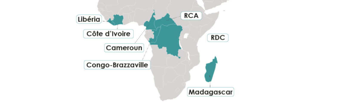 afrique sub - iecd