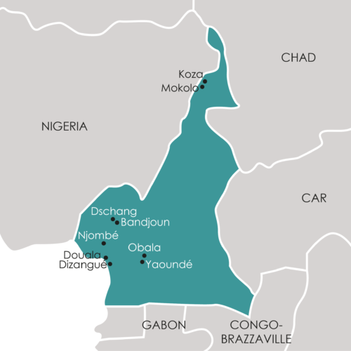 Sub-Saharan Africa: Cameroon - iecd